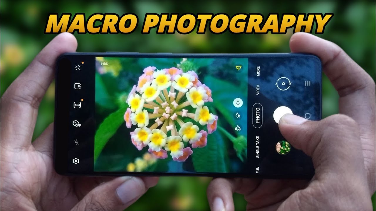 Macro Photography with Samsung Galaxy A52s | Macro Photography with ...