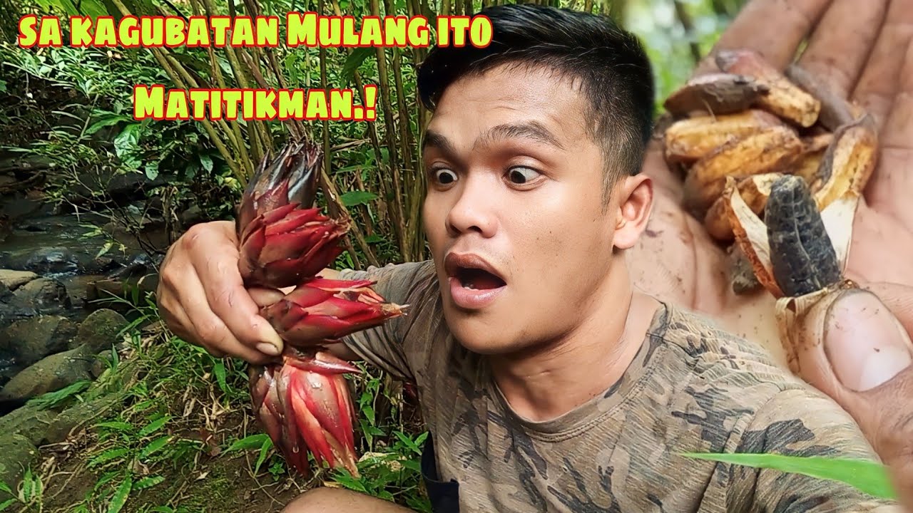 find Rarest TAGBAK fruit in the jungle|Philippines - YouTube