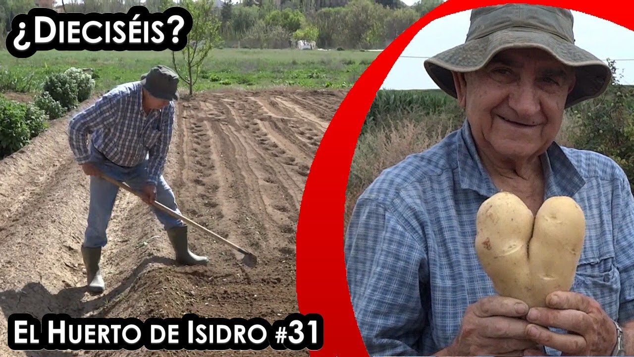 El huerto de Isidro #31. ¿Dieciséis? - YouTube
