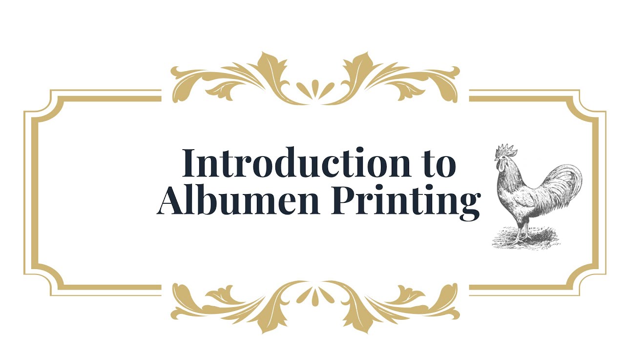 Alternative Printing - Albumen Printing - YouTube