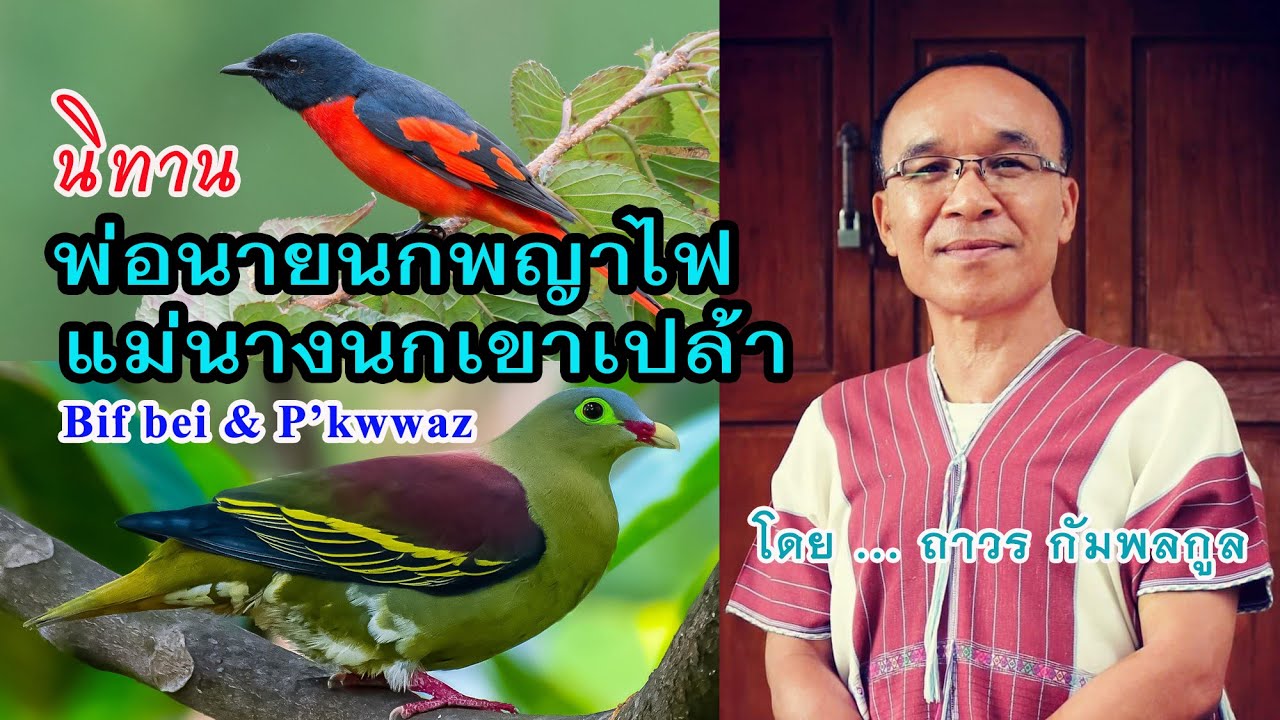นิทาน พ่อนกพญาไฟและแม่นางนกเขาเปล้า Bif beif & P'kwaz - YouTube