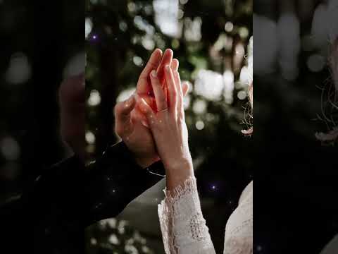 Elif Gibi Sevmek/ Hikmet Anıl Öztekin