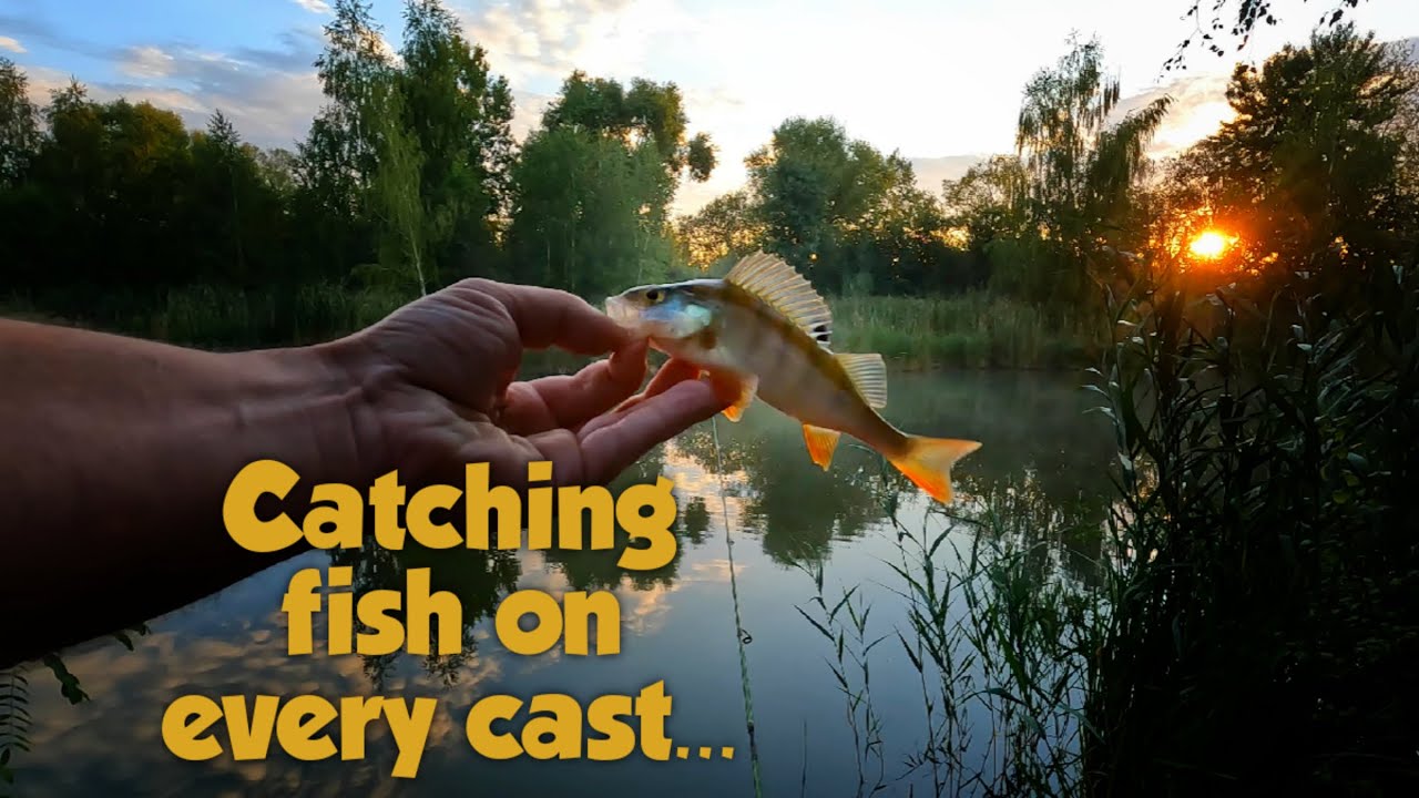 Catching fish on every cast. Beautiful foggy morning. - YouTube