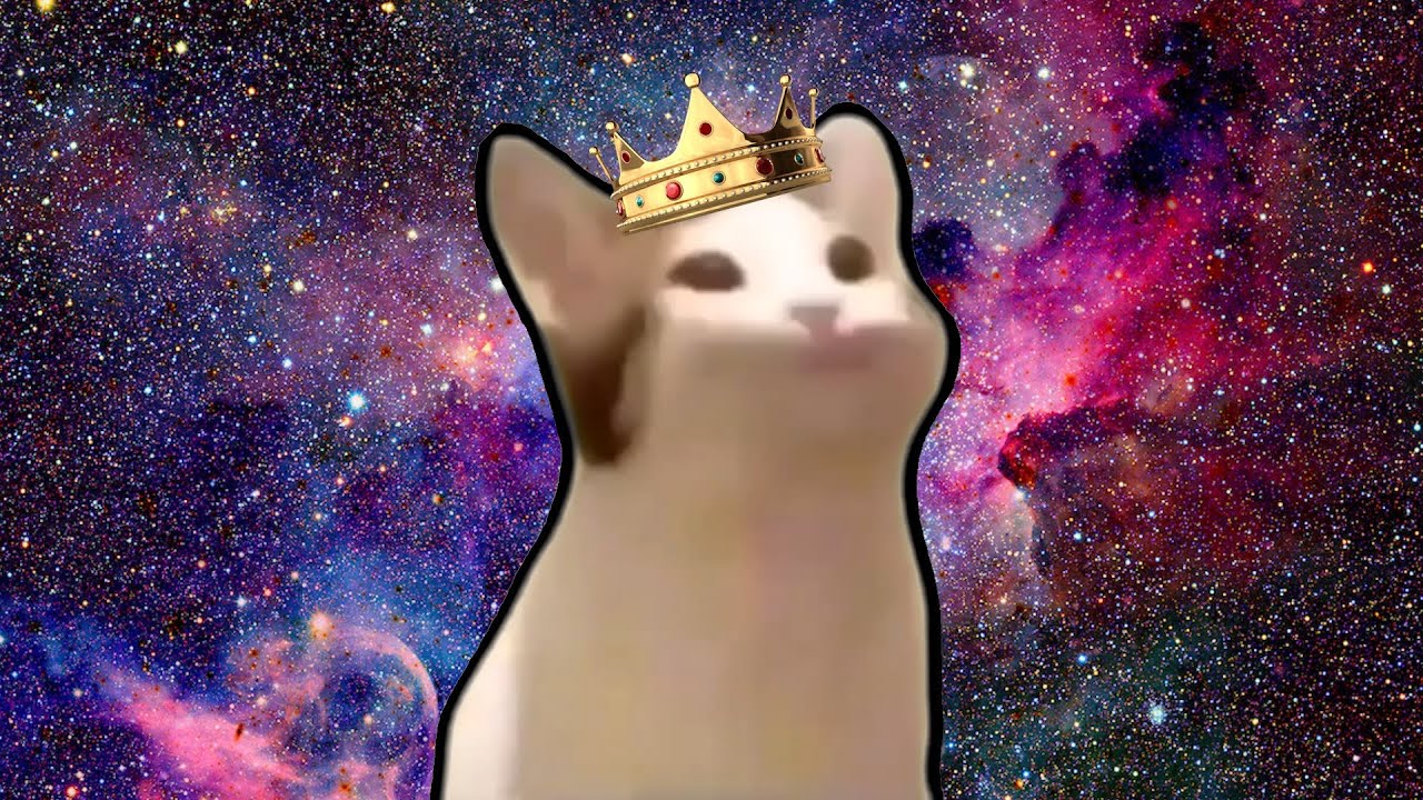 All Hail The Pop Cat #shorts - YouTube