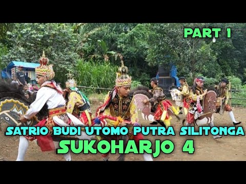 Satrio Budi Utomo Putro Silitonga Perform Di Acara Ngunduh Mantu ...