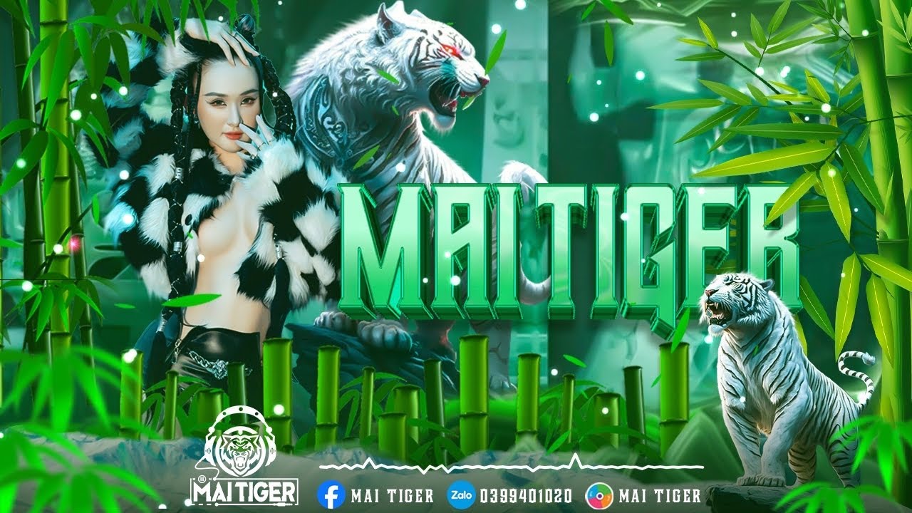 InTro DJ Mai Tiger 🐯 Vina House - YouTube