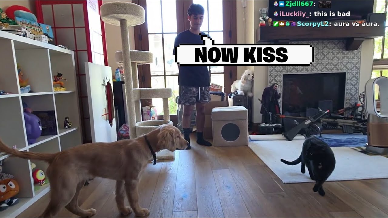 Stable Ronaldo's Cat Meets FaZe Milo - YouTube