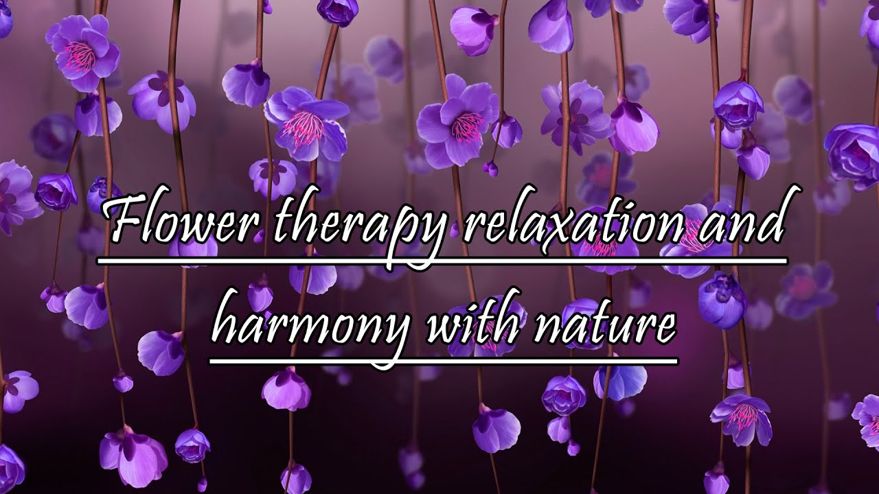 Flower therapy relaxation and harmony with nature / Relaxing video ...