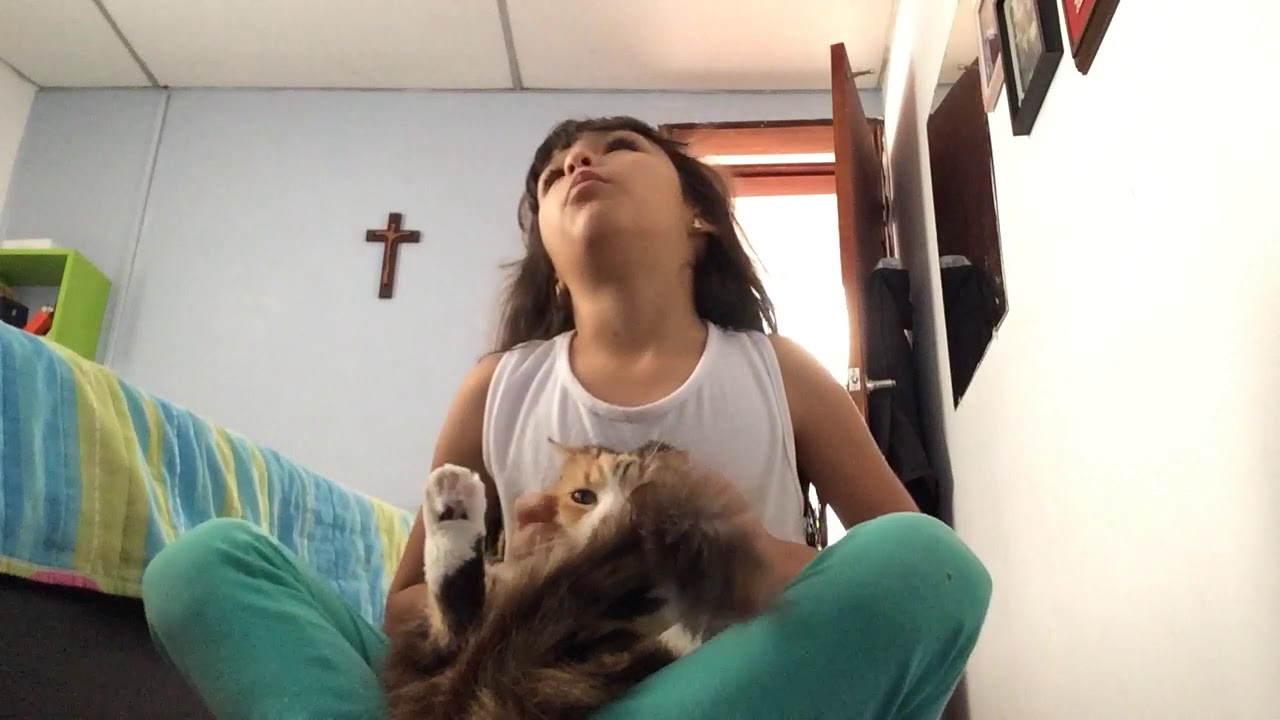 Mi gatica - YouTube