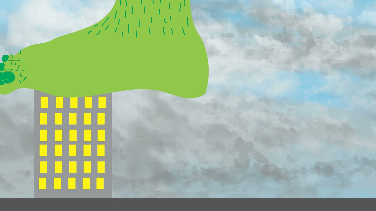 Adobe Animate- Short Animation Example - YouTube