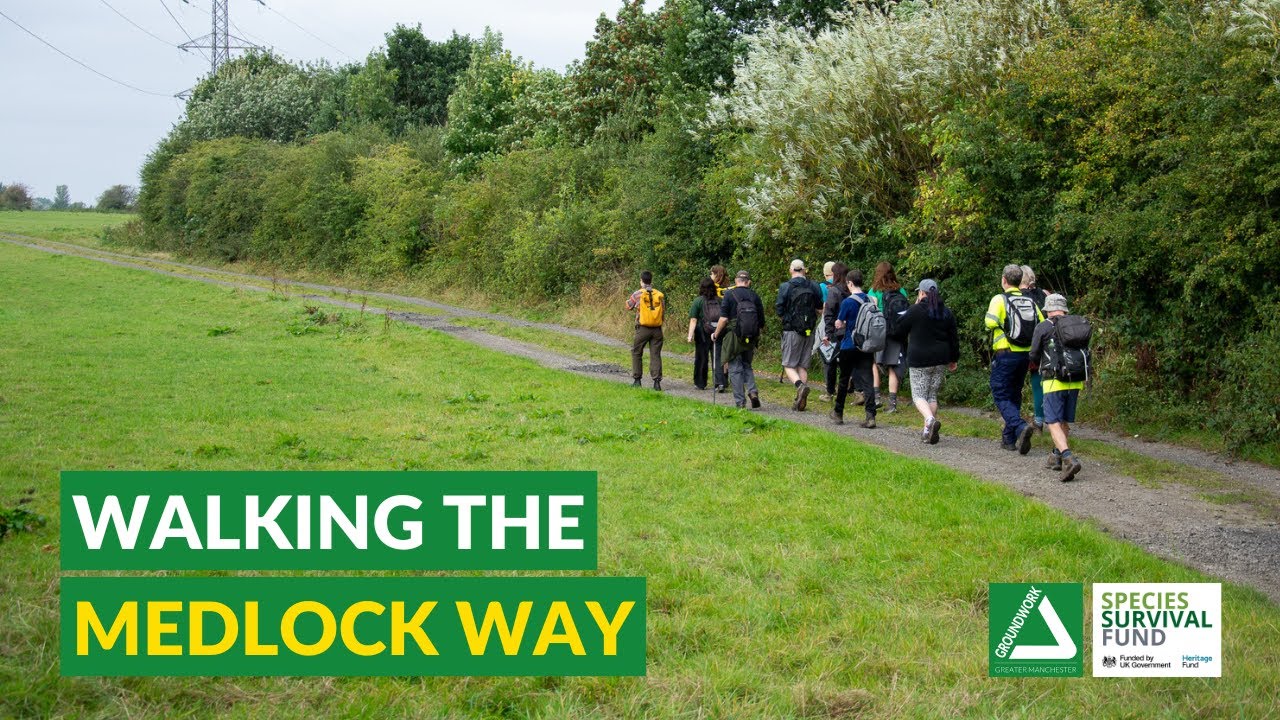 Walking the Medlock Way | Medlock Valley Restoration Project - YouTube