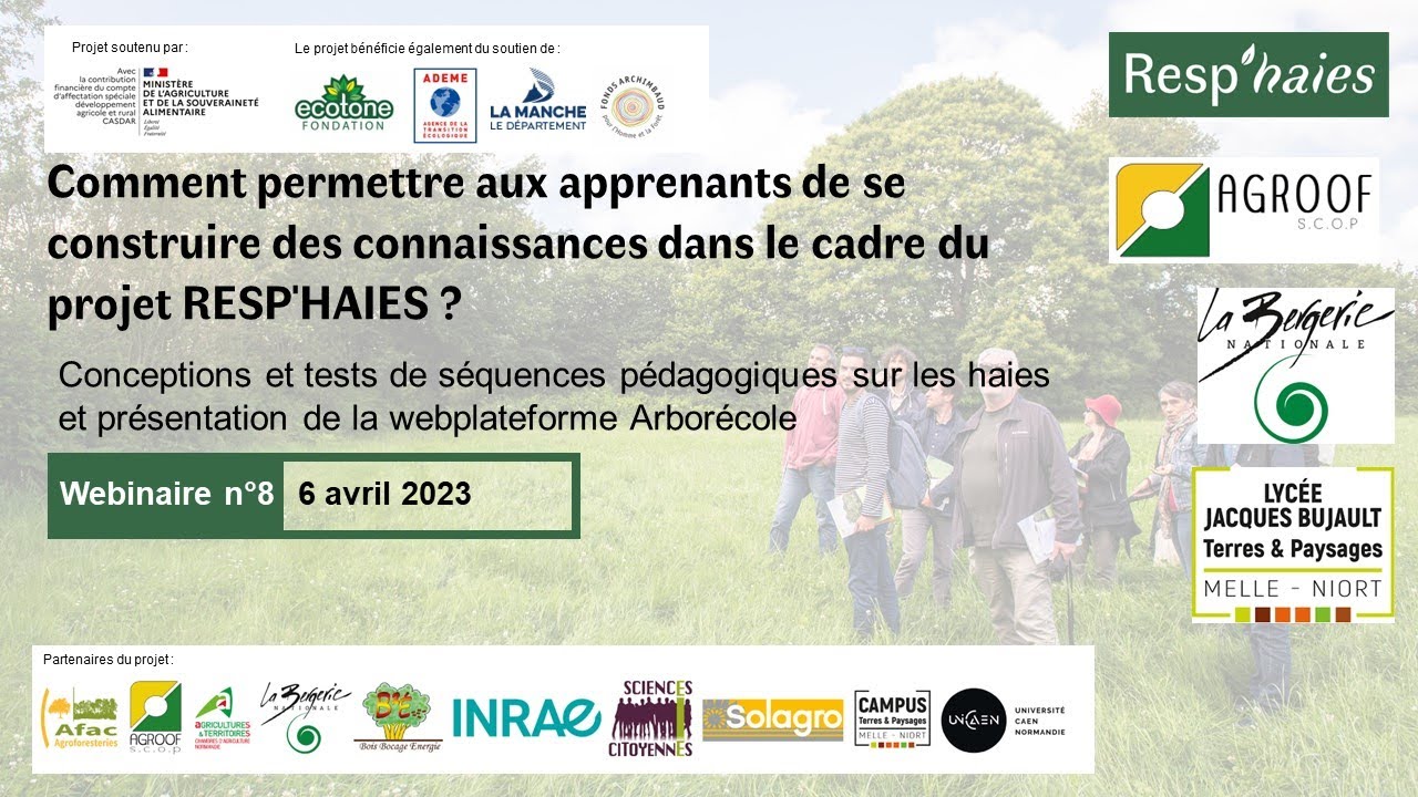 Comment permettre aux apprenants de se construire des connaissances ...