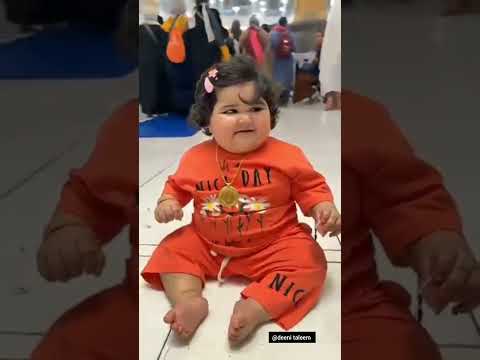 Ya Rabbe Mustafa #islamic shorts #islamic status #islam #allah #madina #naat