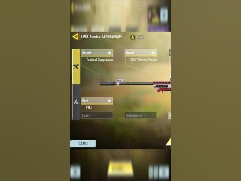 Best Tundra Loadout - YouTube