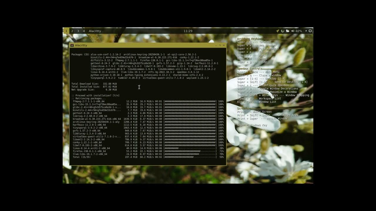 Edu 0027 : ArchBang - ISO from 2025 04 27 - installation - tips - arcolinux-nemesis scripts ...