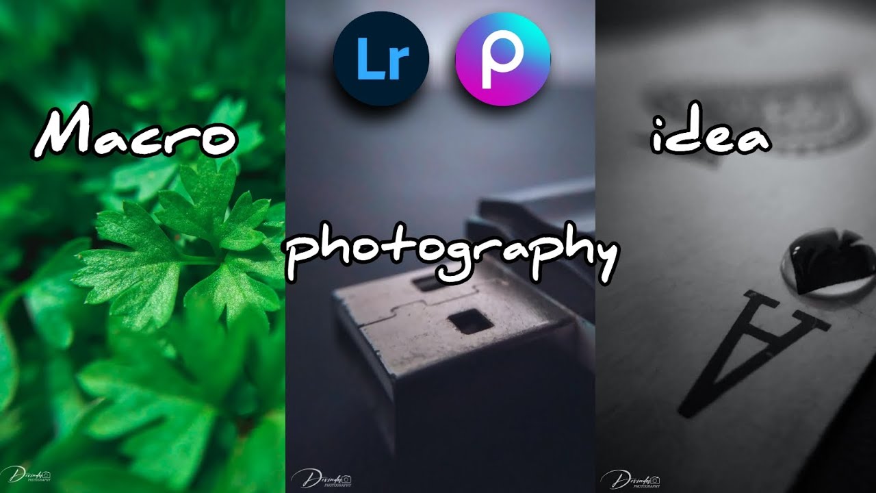 Micro photography ideas| mobilephotography #photography #photo #video # ...