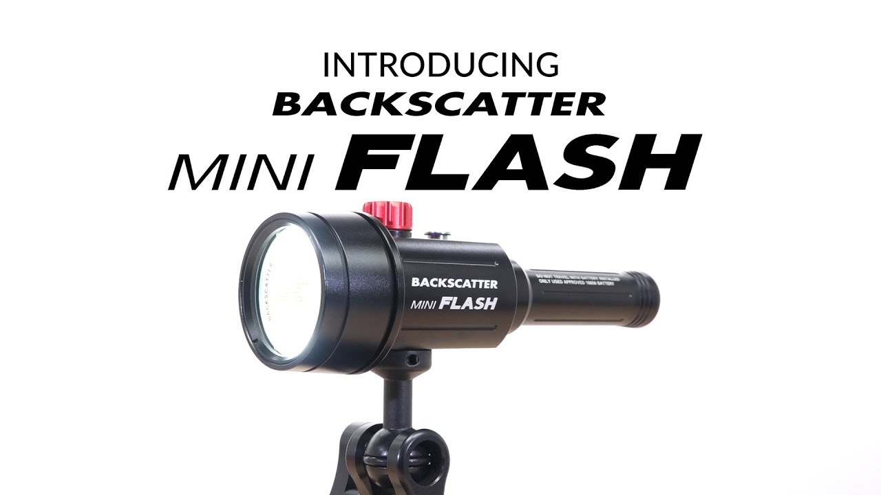 Backscatter Mini Flash & Optical Snoot | Best underwater macro strobe ...