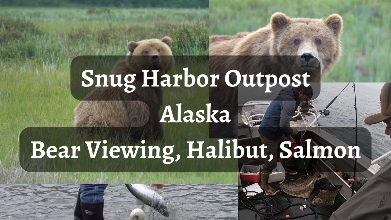 Snug Harbor Outpost | Bear Viewing | Halibut Fishing | Salmon Fishing ...