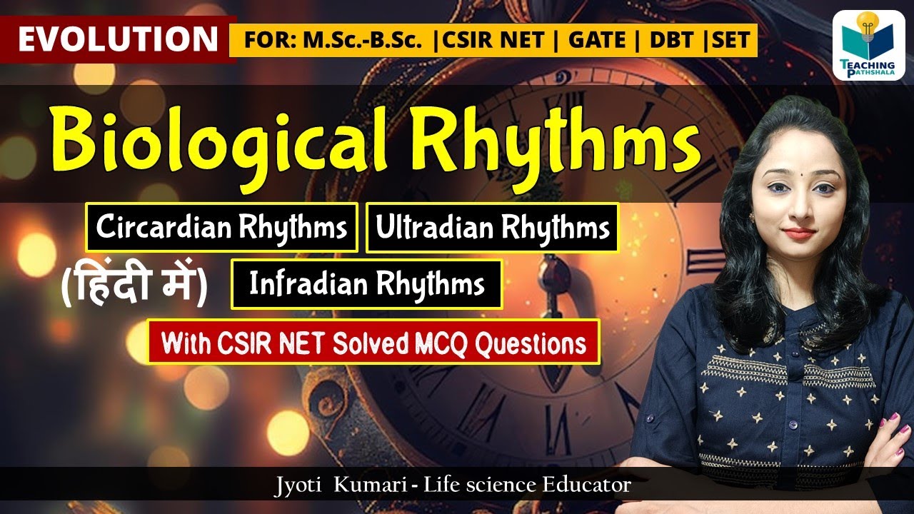 Biological Rhythms & Types | Circardian Rhythms |Ultradian Rhythms ...