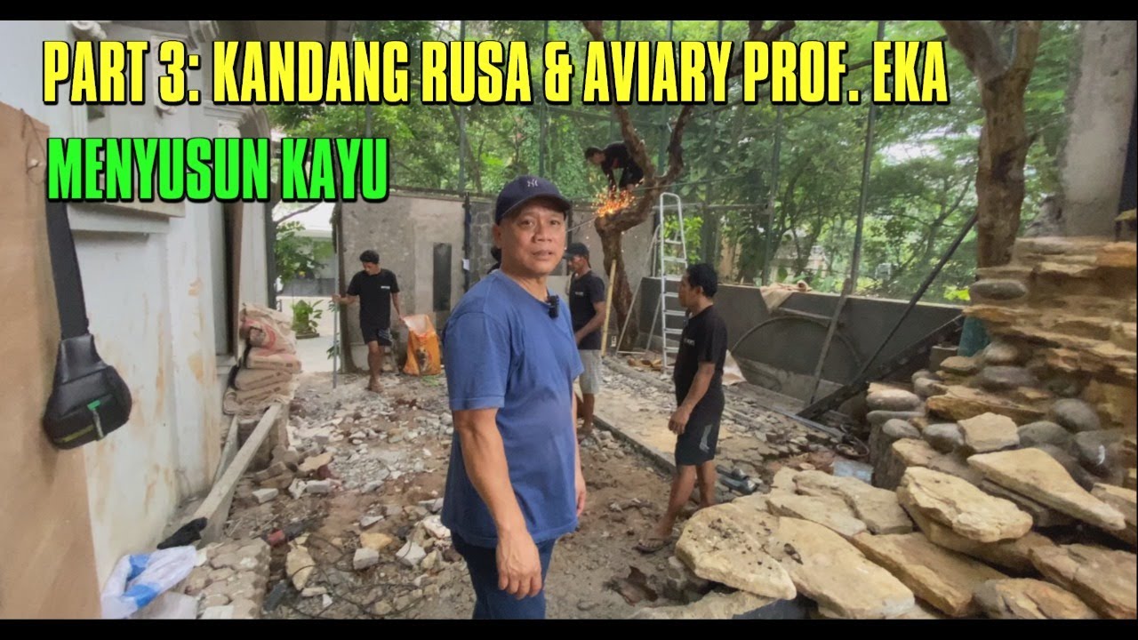 PART 3: KANDANG RUSA & AVIARY PROF. EKA - MENYUSUN KAYU - YouTube