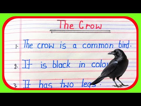 Essay on crow in English / 10 line on crow / crow essay in English ...