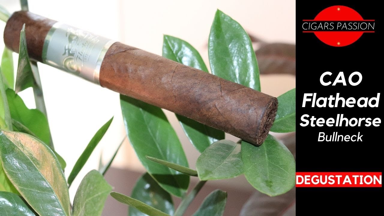 CAO Flathead Steel horse Bullneck - YouTube