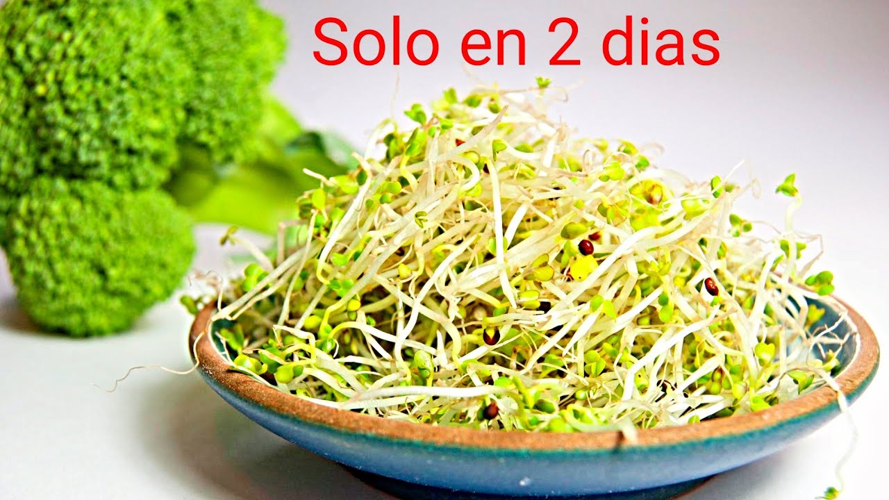 RAÍCES CHINAS FÁCIL Y RAPIDO - YouTube