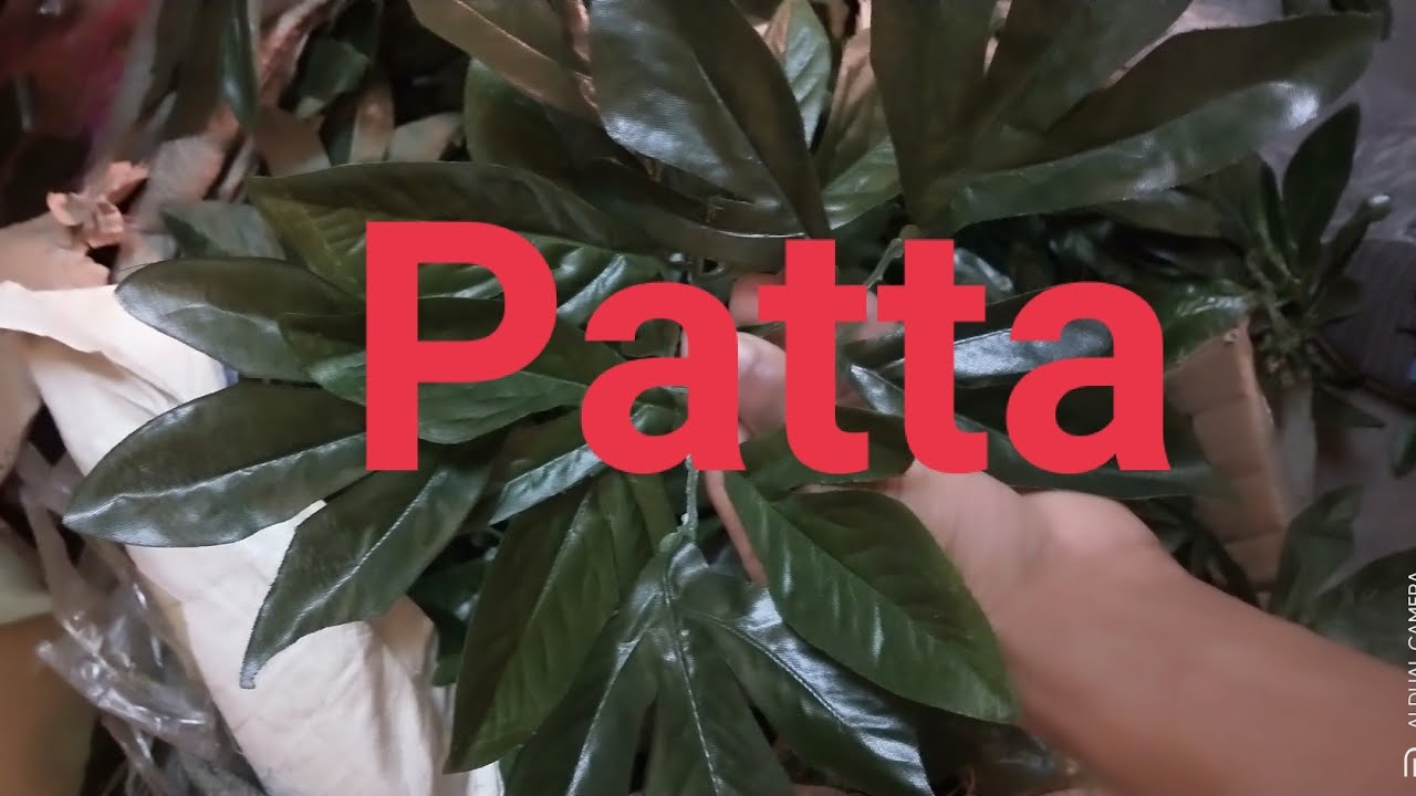 Patta/Artificial Patta/Bunch Patta - YouTube