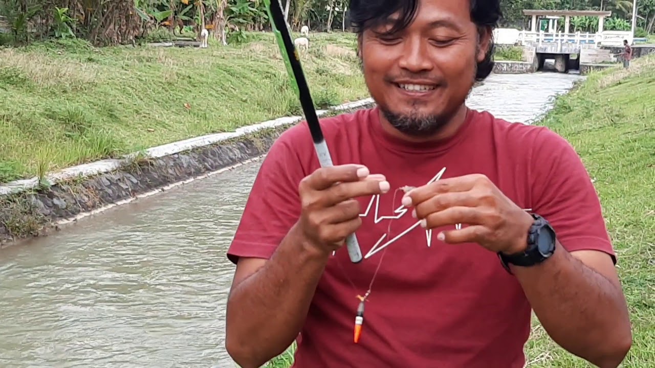 Mancing Gerrrsama Komunitas Ninja: Nila Bocil Jadi Idola - YouTube