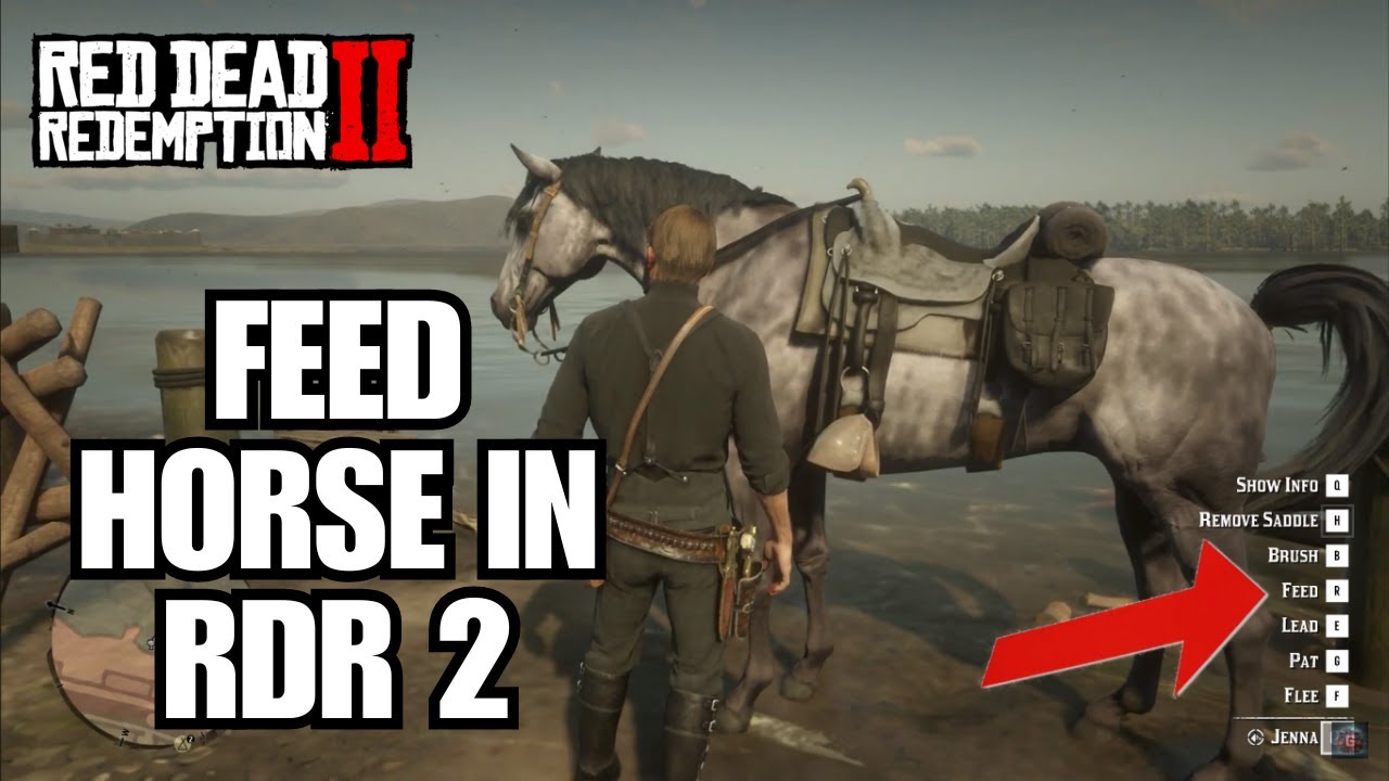 How to Feed Horse on Red Dead Redemption 2 (2024) | Feed Horse RDR 2 ...