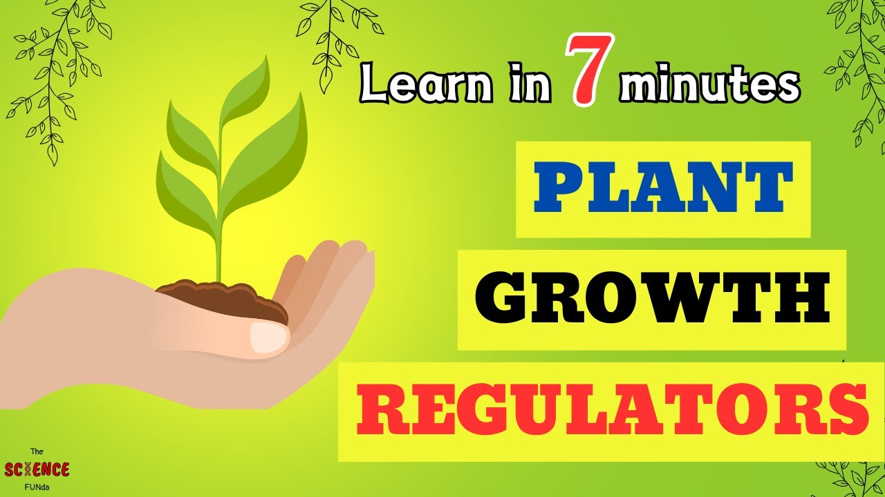 Plant Growth Regulators Made Easy | Plant Hormones Explained | Plant ...