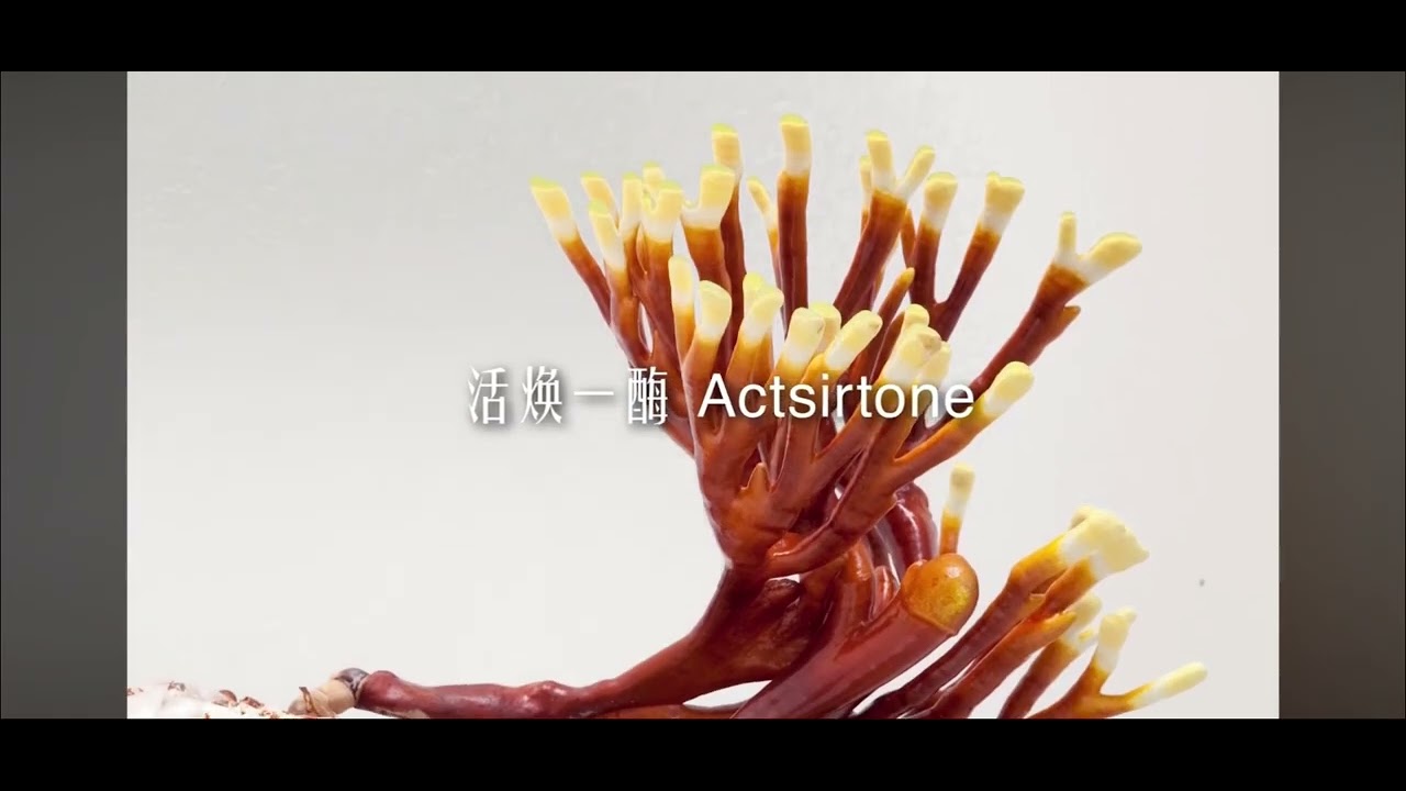 Purtier Placenta 7th edition - YouTube