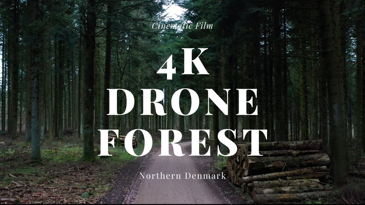 4K Cloudy Forest by Drone l Cinematic Nature Film w/ Music - YouTube
