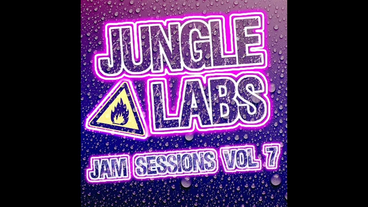 JUNGLE MIX 2023 (JUNGLE LABS JAM SESSIONS VOL 7) - YouTube