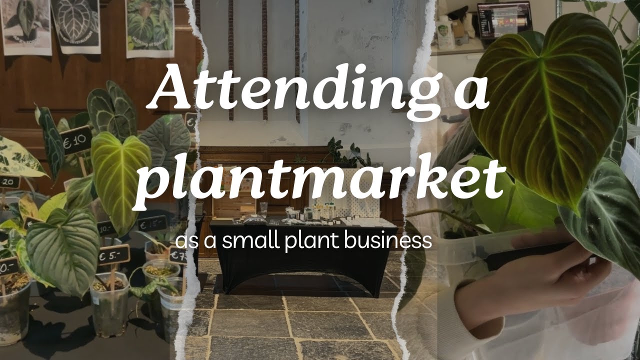 Attending a plantmarket 🌱 - as a small plant business - YouTube