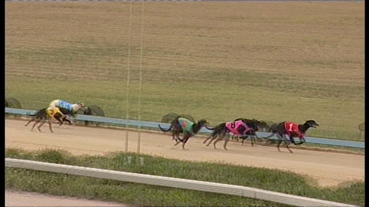 Strathalbyn-30122016-Race-2 - YouTube