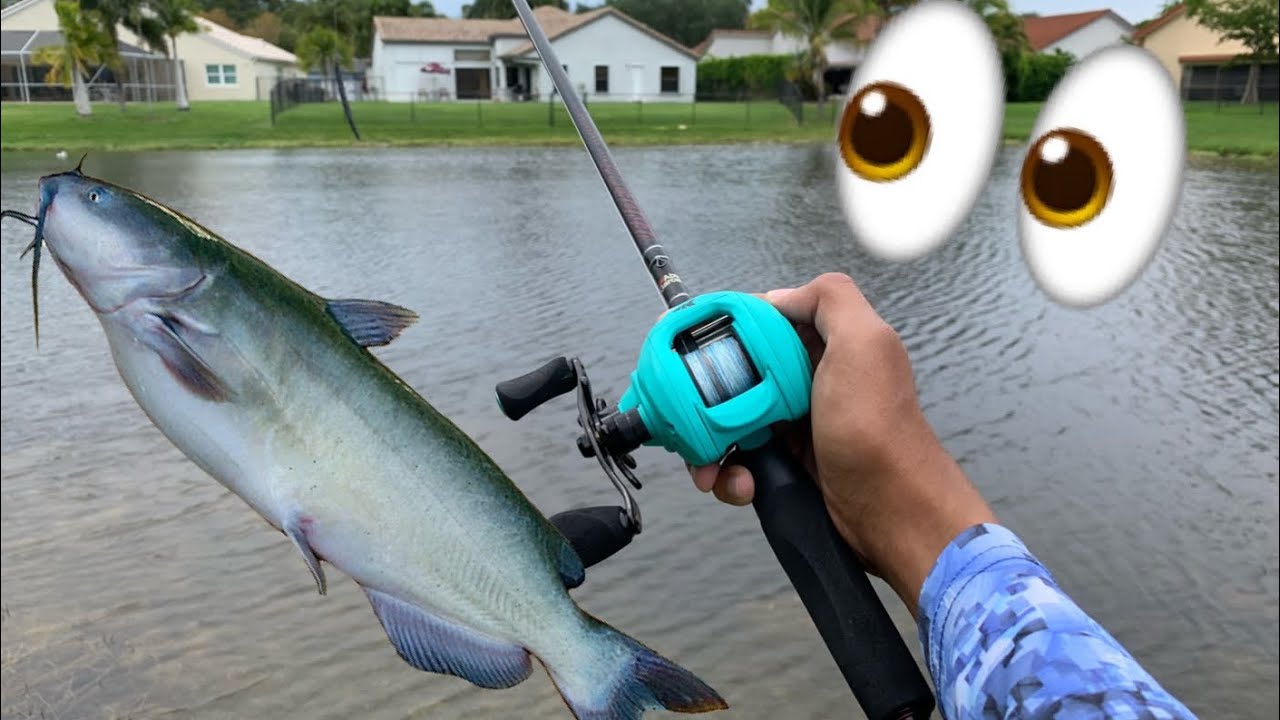 *Fishing For Alabama Catfish PART 2* - YouTube