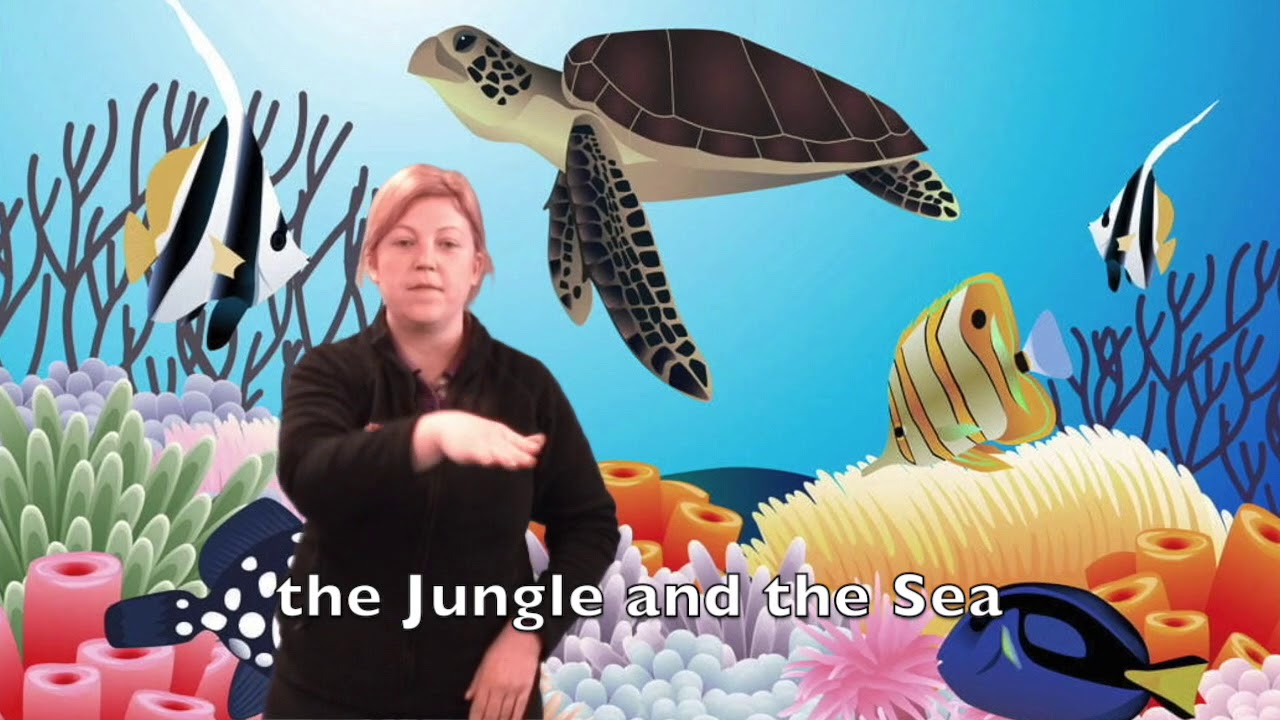 Sing and Sign, King of the Jungle - YouTube