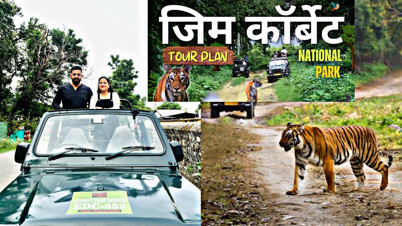 Jim Corbett National park Ramnagar // tour plan // tiger 🐆🐅 - YouTube