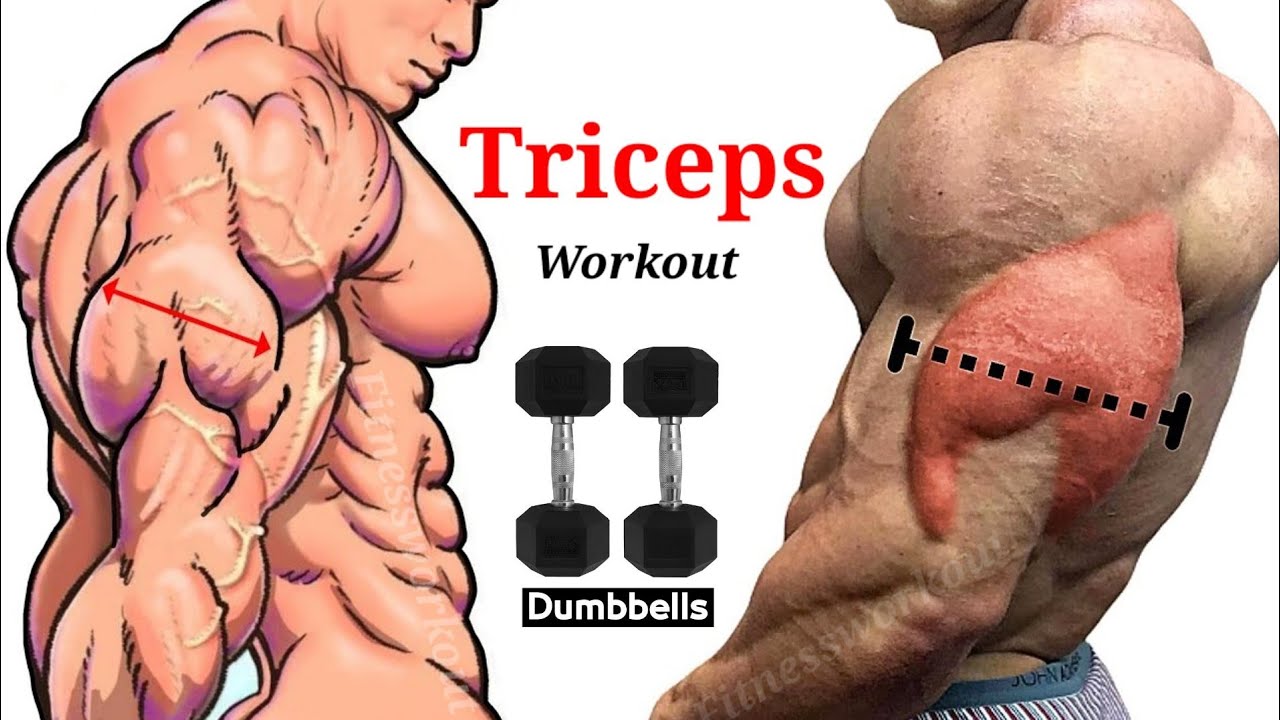best effective triceps workout with dumbbells | fitness workout - YouTube
