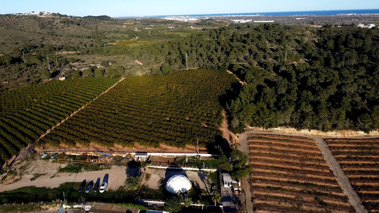 Proyecto Oasis Artístico - YouTube