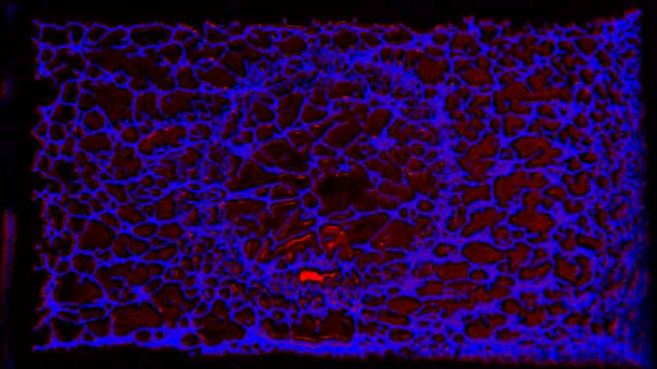 Leon Boiler - Huachinango - YouTube