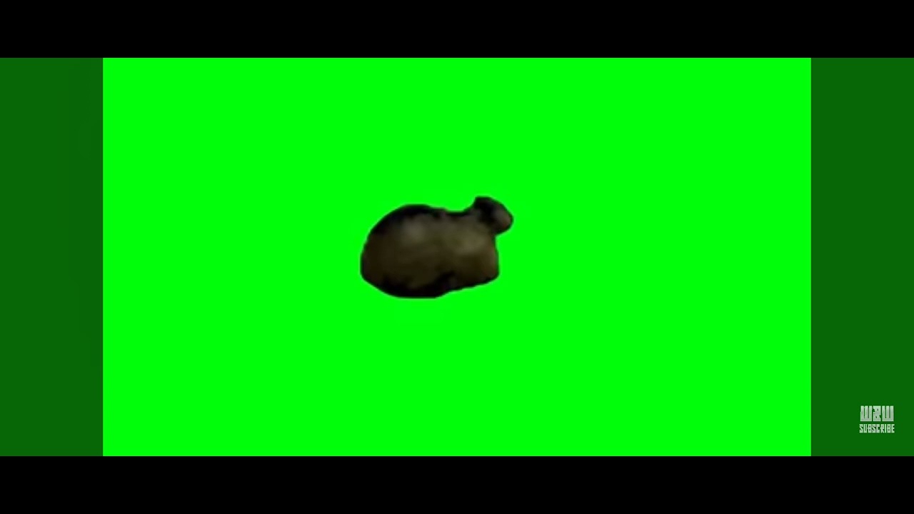 4 March 2025 - YouTube