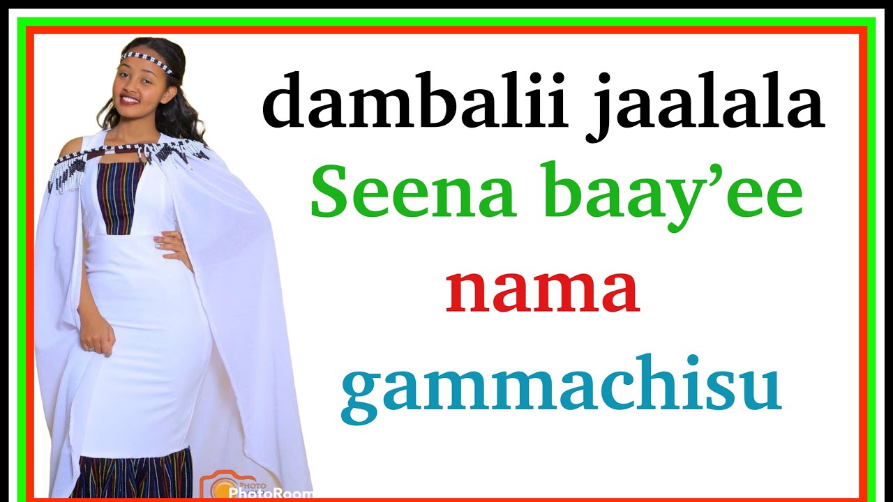 🛑 dambalii jaalala seena baay’ee nama gammachisu#oromia #ethiopa - YouTube