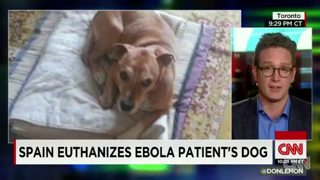 Spain Euthanizes Ebola Patient's Dog - YouTube