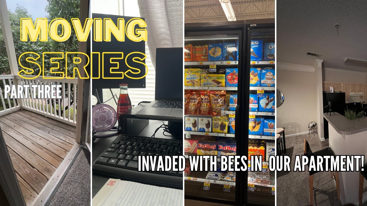 MOVING SERIES: Pt 3 | Settling Into My Apartment || groceries, packages ...
