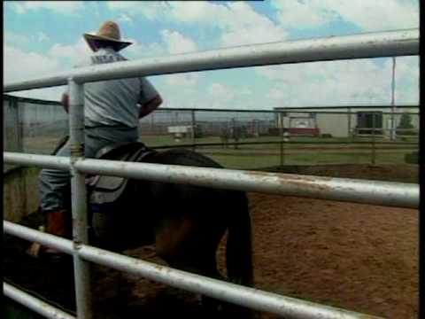 Taming the Wild West Story - YouTube