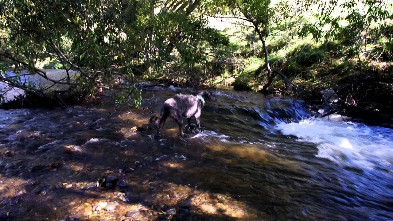 River in April - YouTube