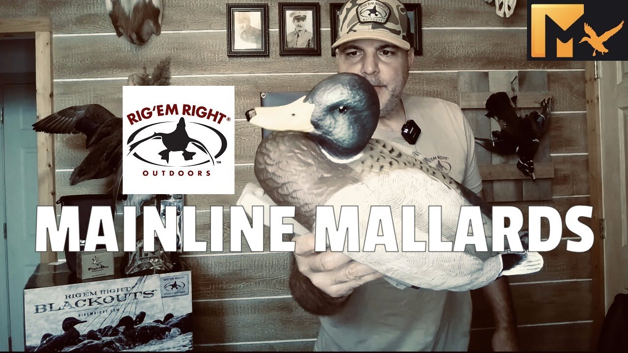 Rig'Em Right Mallard Duck Decoys Mainline Series Unboxing Review ...