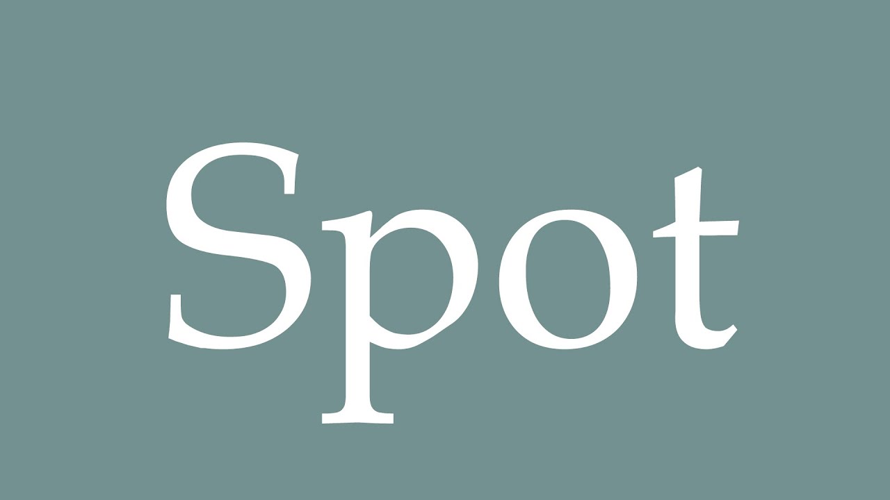 How to Pronounce ''Spot'' Correctly in French - YouTube